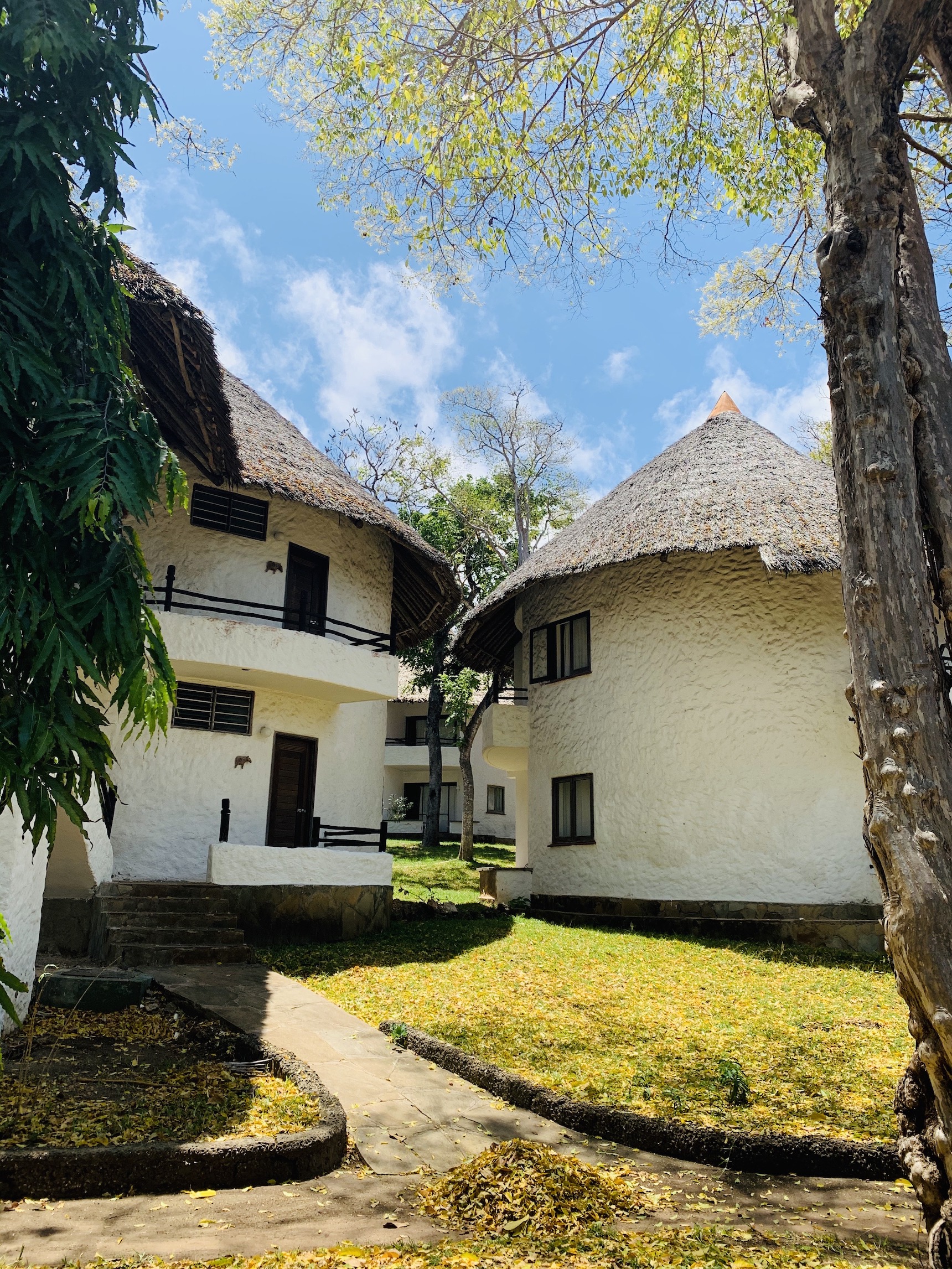 There’s a magical place called Diani Beach – Dr. Scott