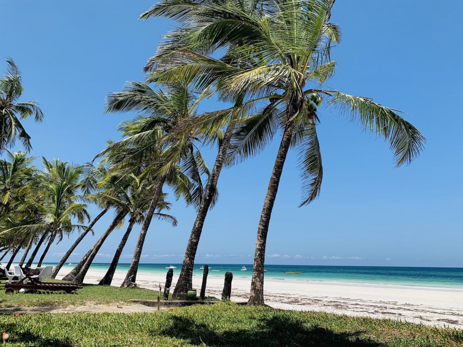 There’s a magical place called Diani Beach – Dr. Scott